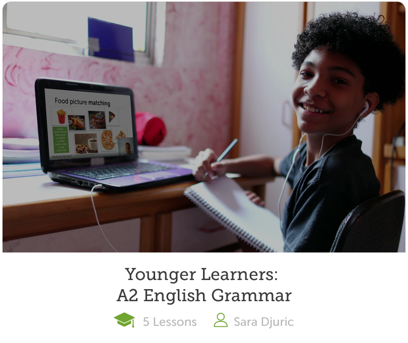 Pro Plan - Perfectly Spoken